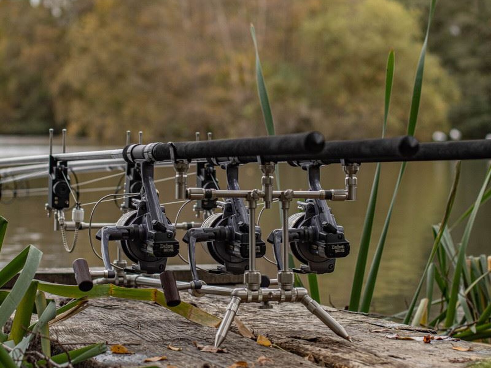 Solar P1 Mini Worldwide Pod