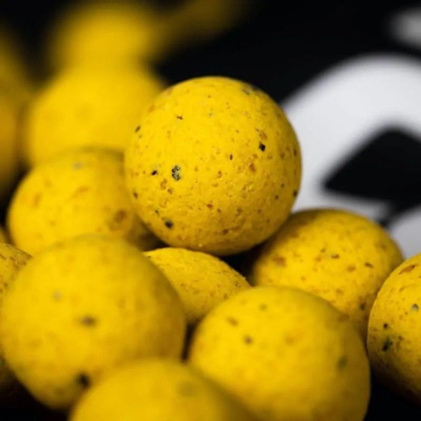 Mainline Essential Cell Shelf Life 1k