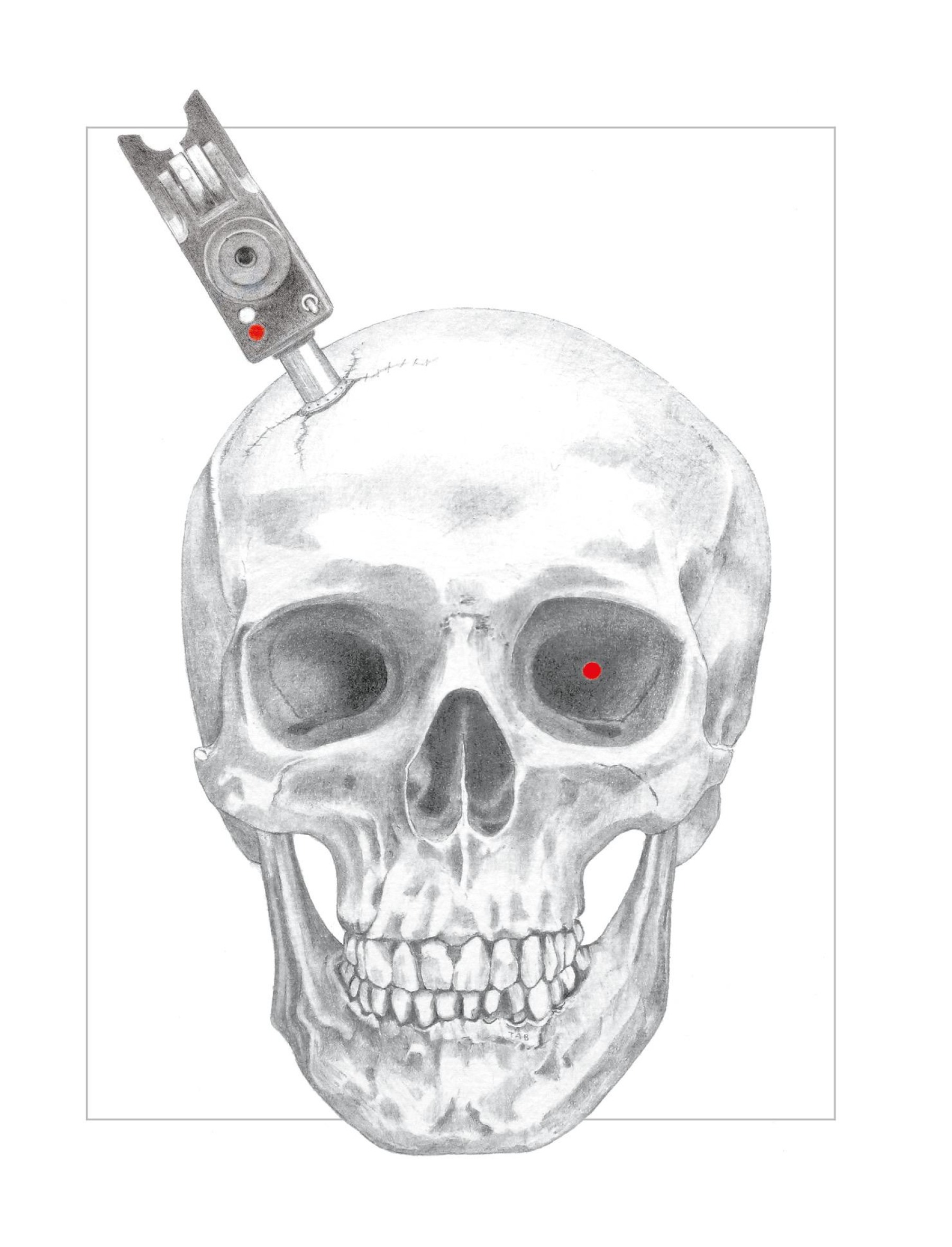 Bitetimes to Lifetimes by Tom Bankes | Book 3 | signed